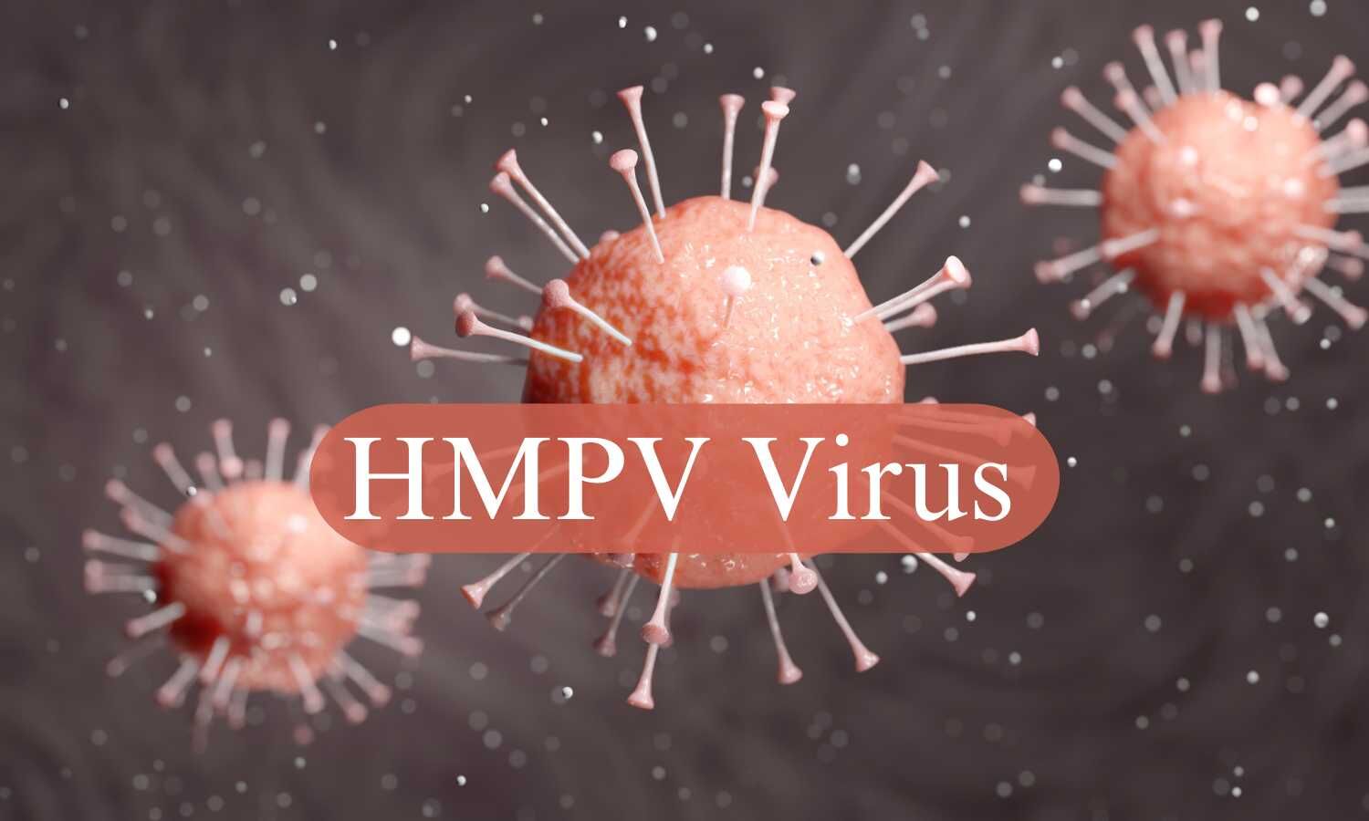 HMPV: રાજ્યોને શ્વસનતંત્રના રોગોનું સર્વેલન્સ વધારવા નિર્દેશ